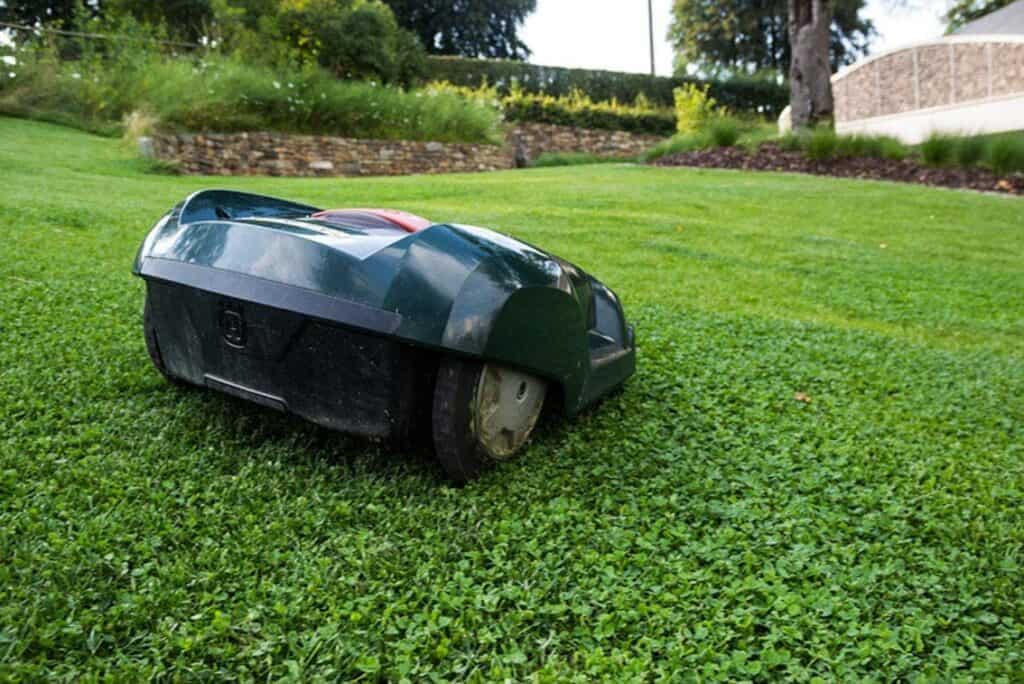 Robot Lawn Mowers | How Do They Do With Leaves?