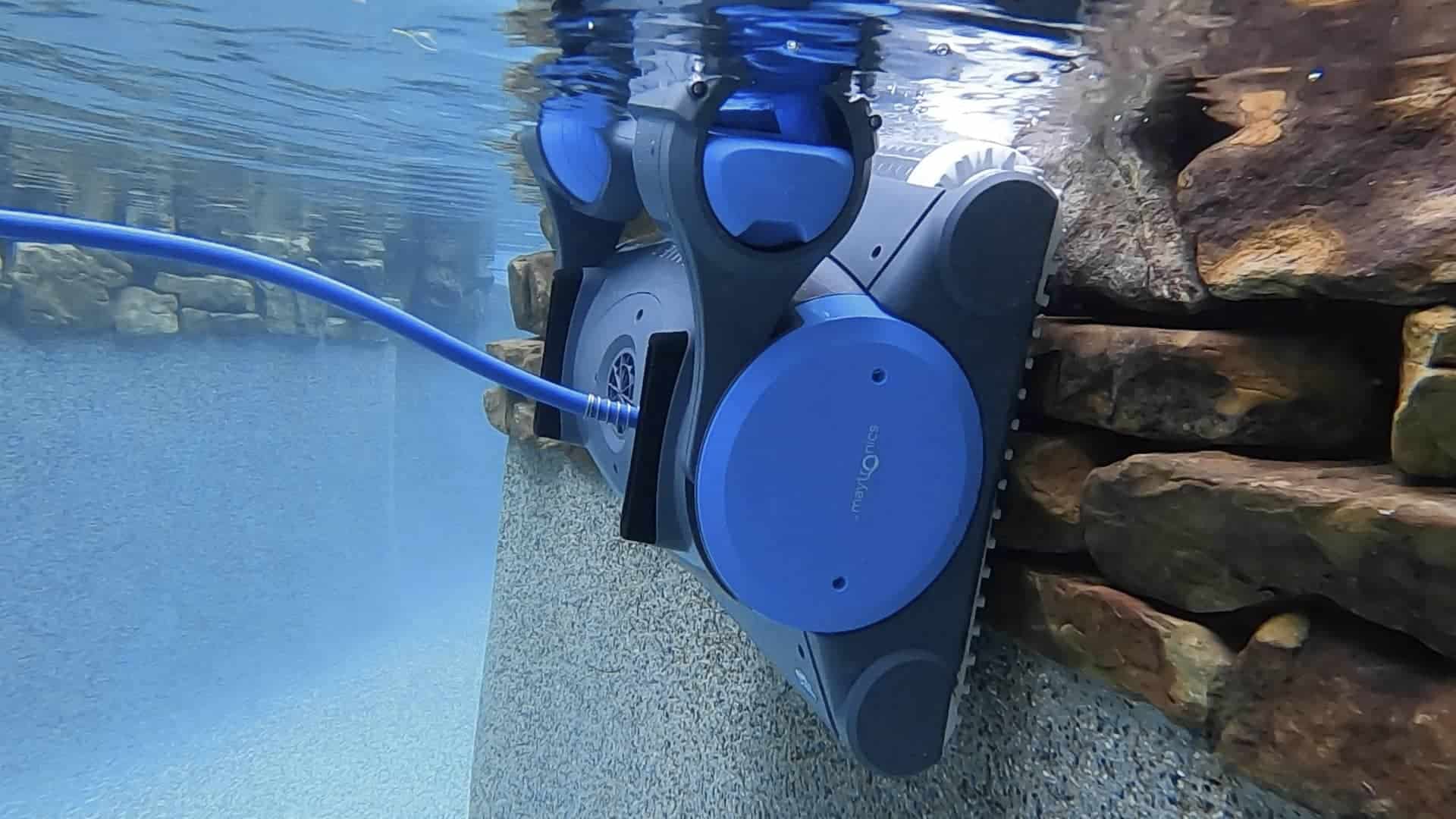 Best Dolphin Pool Robots – Which Should You Pick? - Robot Chores