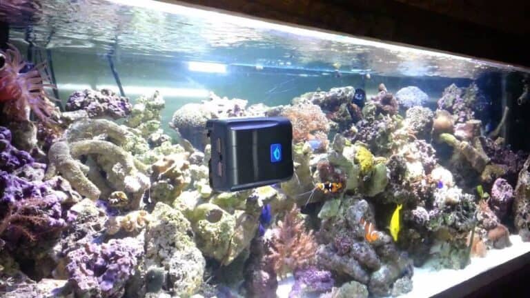 RoboSnail Review - The Robot Aquarium Cleaner - Robot Chores