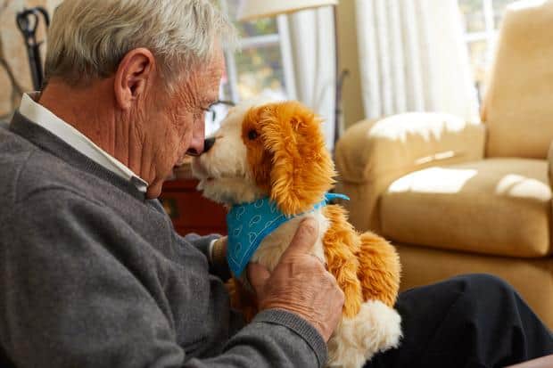 Joy For All Review: Robot Pets Great For Seniors - Robot Chores