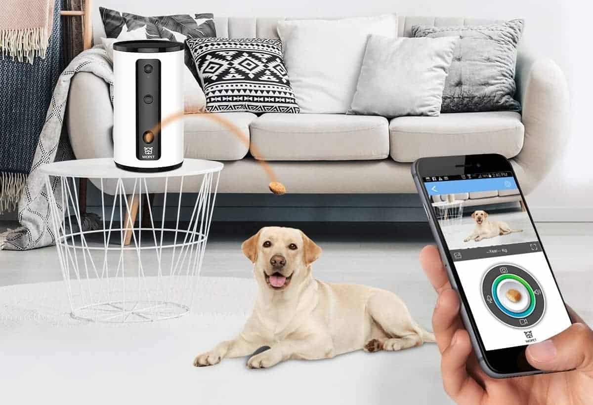 Best Pet Cameras That Dispense Treats - Robot Chores