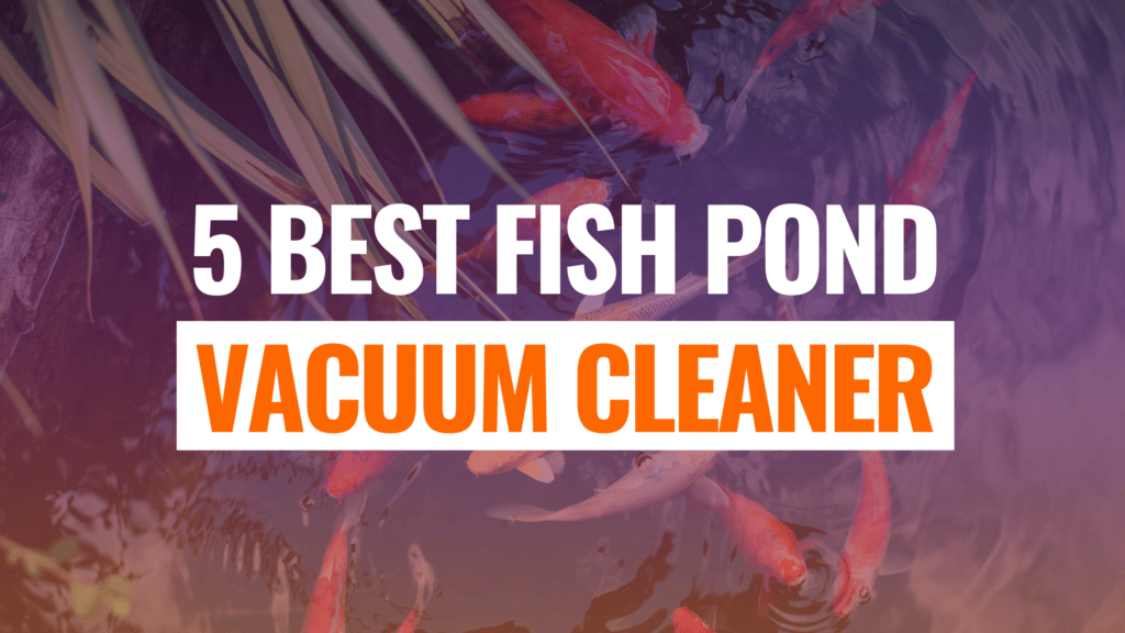 The 5 Best Fish Pond Vacuum Cleaners in 2023 - Robot Chores