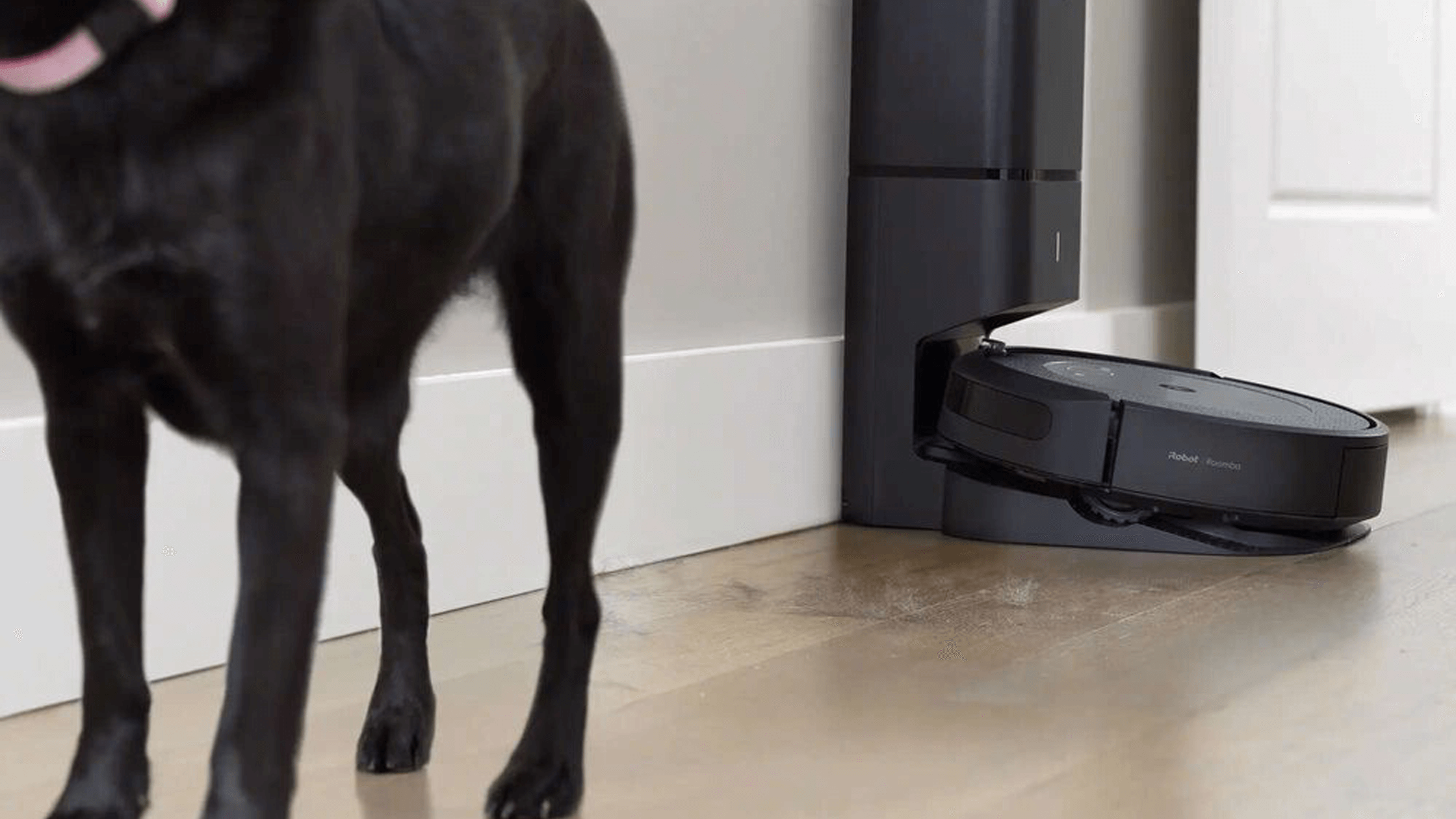iRobot Roomba i4 vs i6: Head-to-Head Comparison - Robot Chores